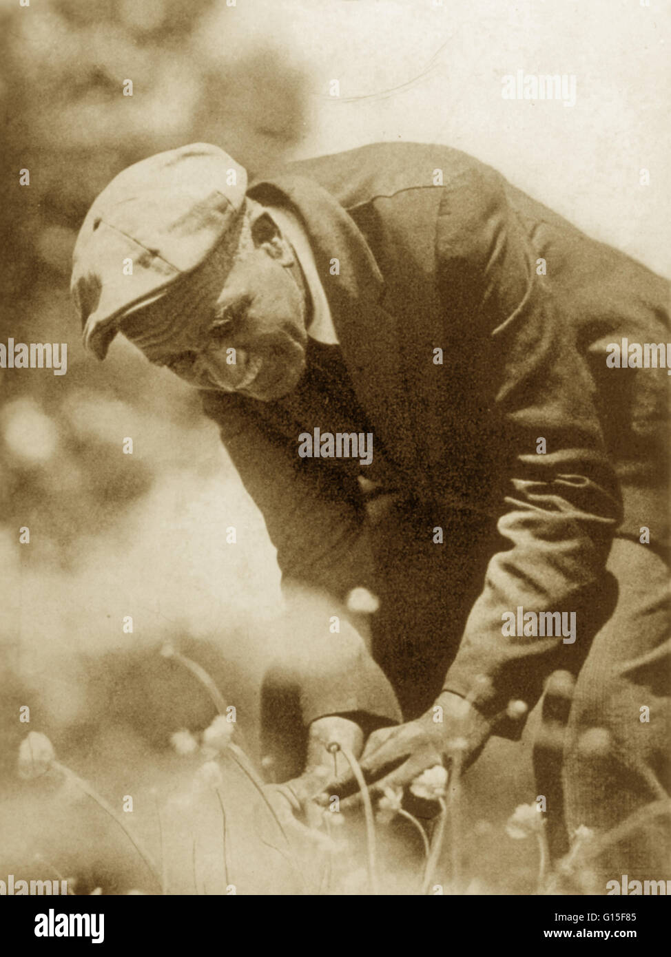 George Washington Carver (1864-1943) was an African-American scientist ...