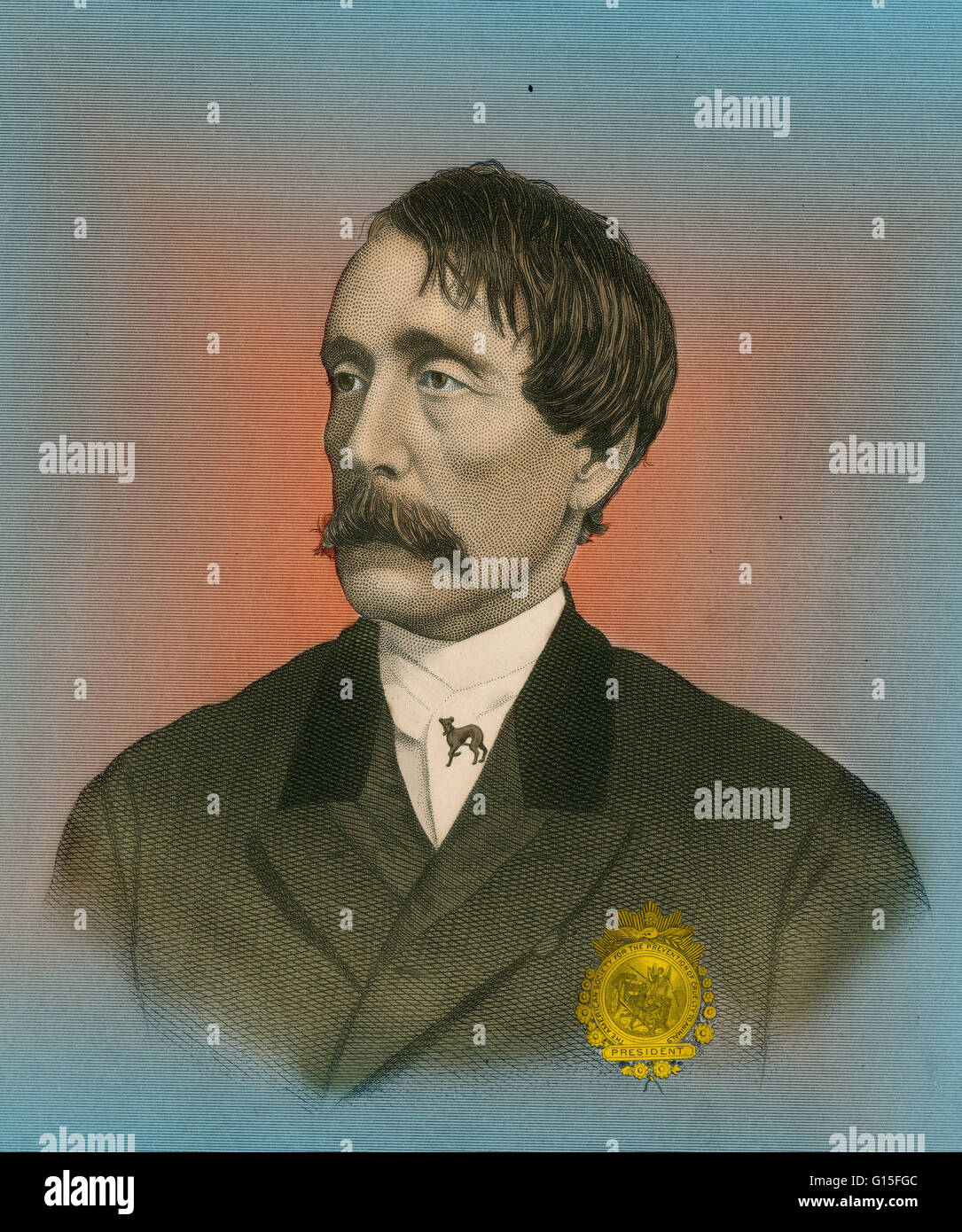 Animal cruelty hi-res stock photography and images - Alamy