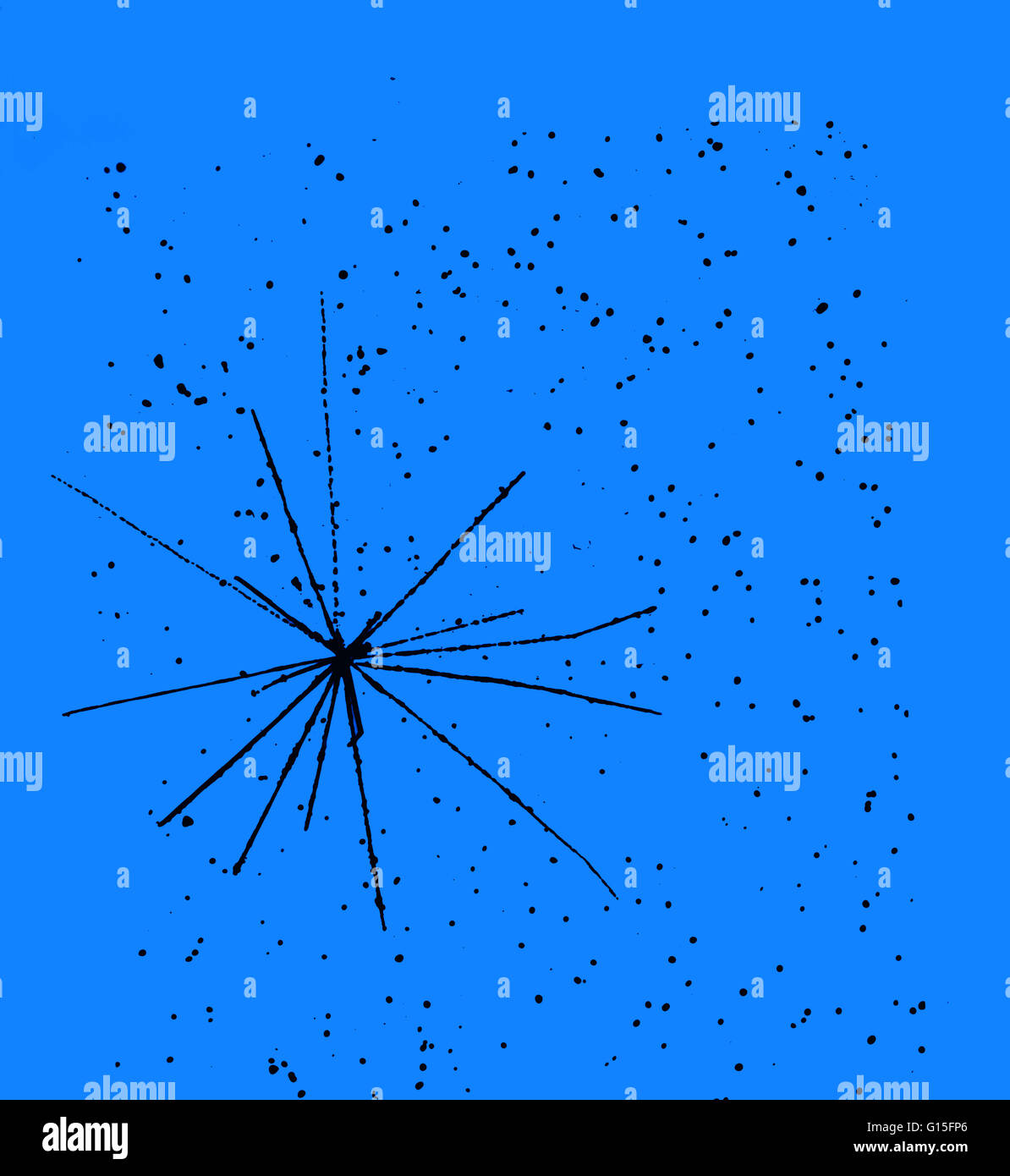 Particle tracks from a particle detection chamber at Brookhaven ...