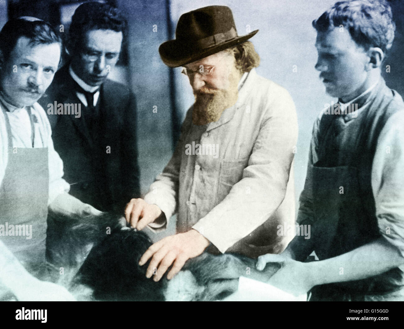 Russian immunologist hi-res stock photography and images - Alamy