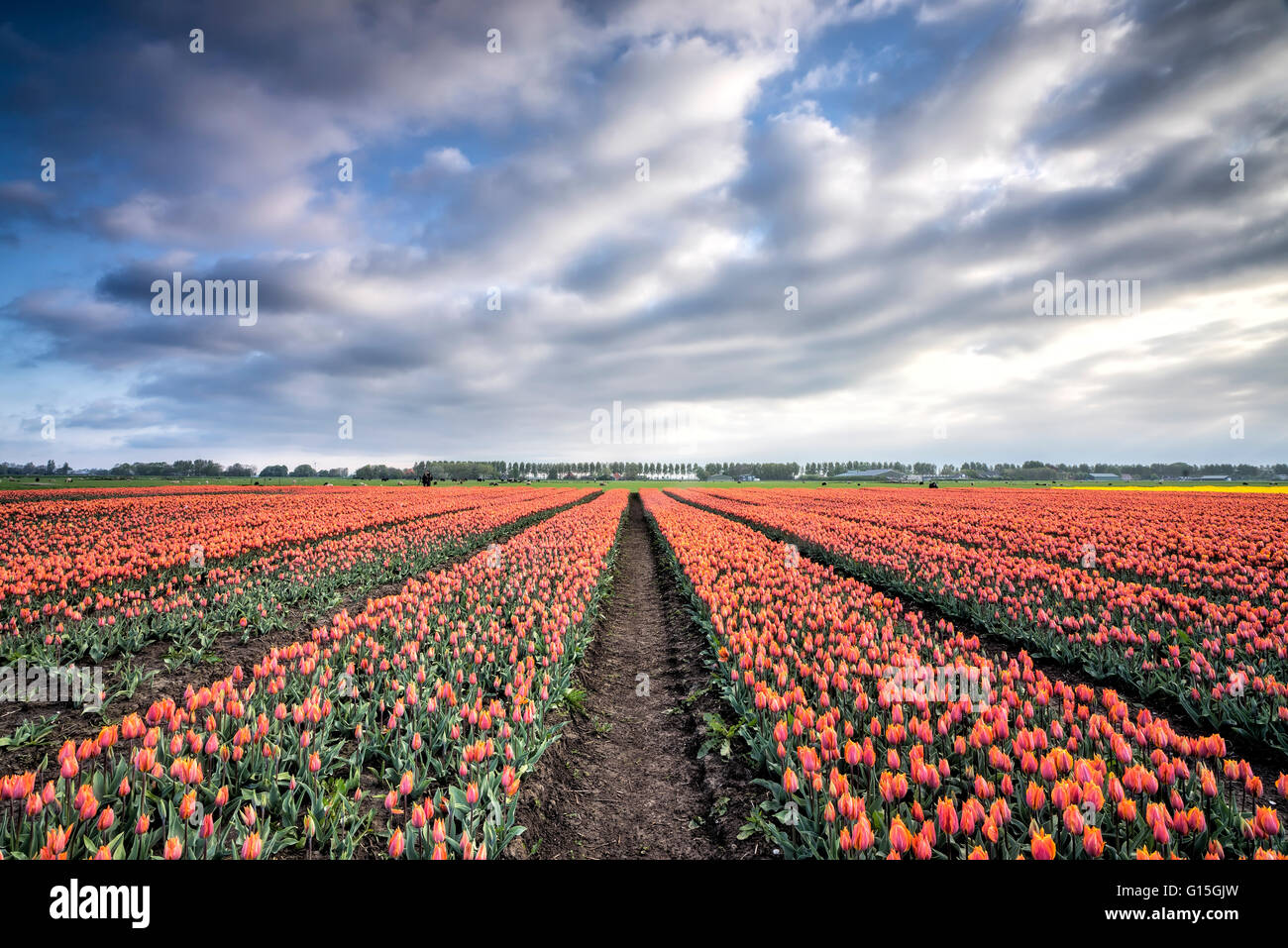 Coloured clouds hi-res stock photography and images - Alamy