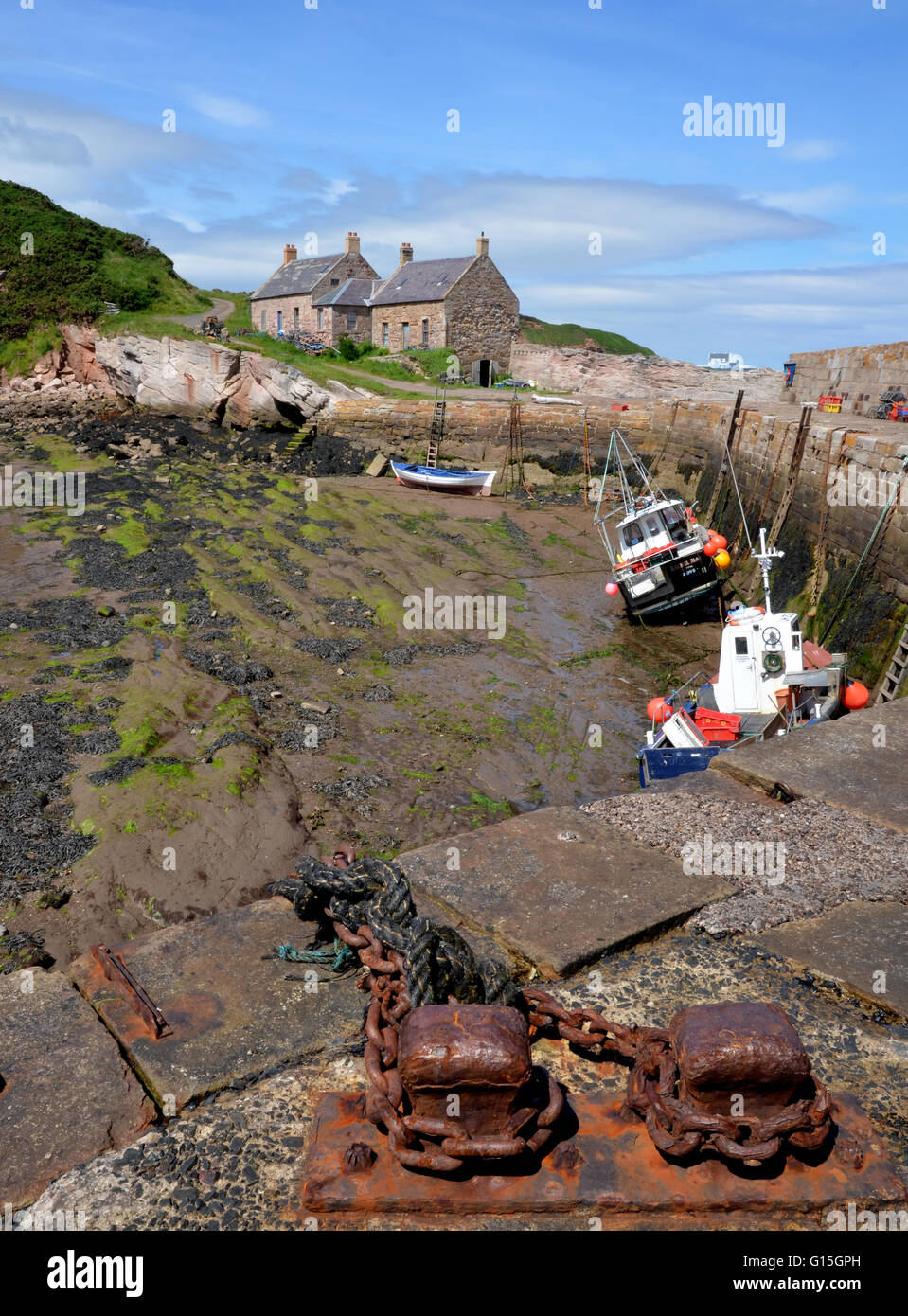 Cove harbour scotland hi-res stock photography and images - Alamy