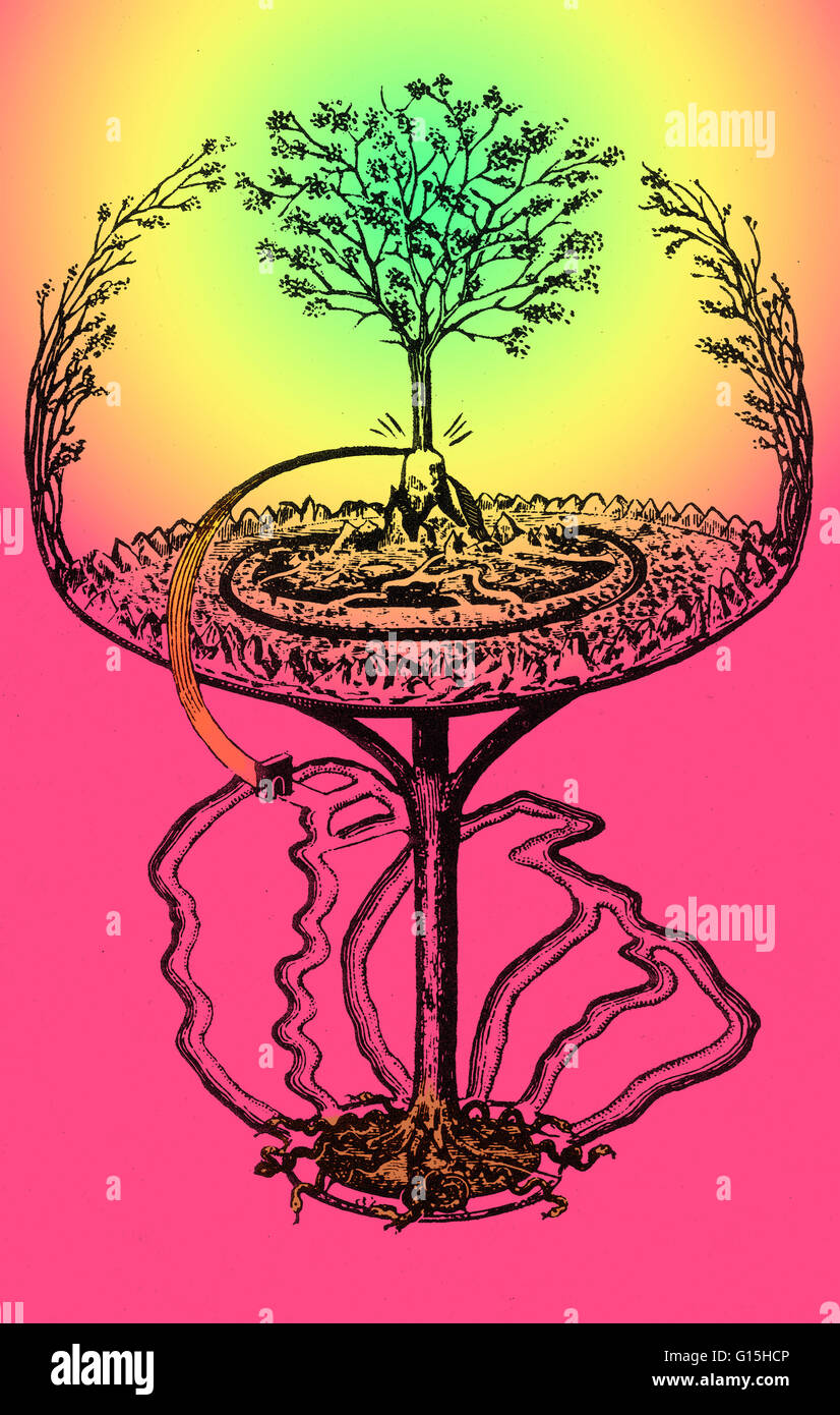 Nine worlds of norse mythology hi-res stock photography and images - Alamy