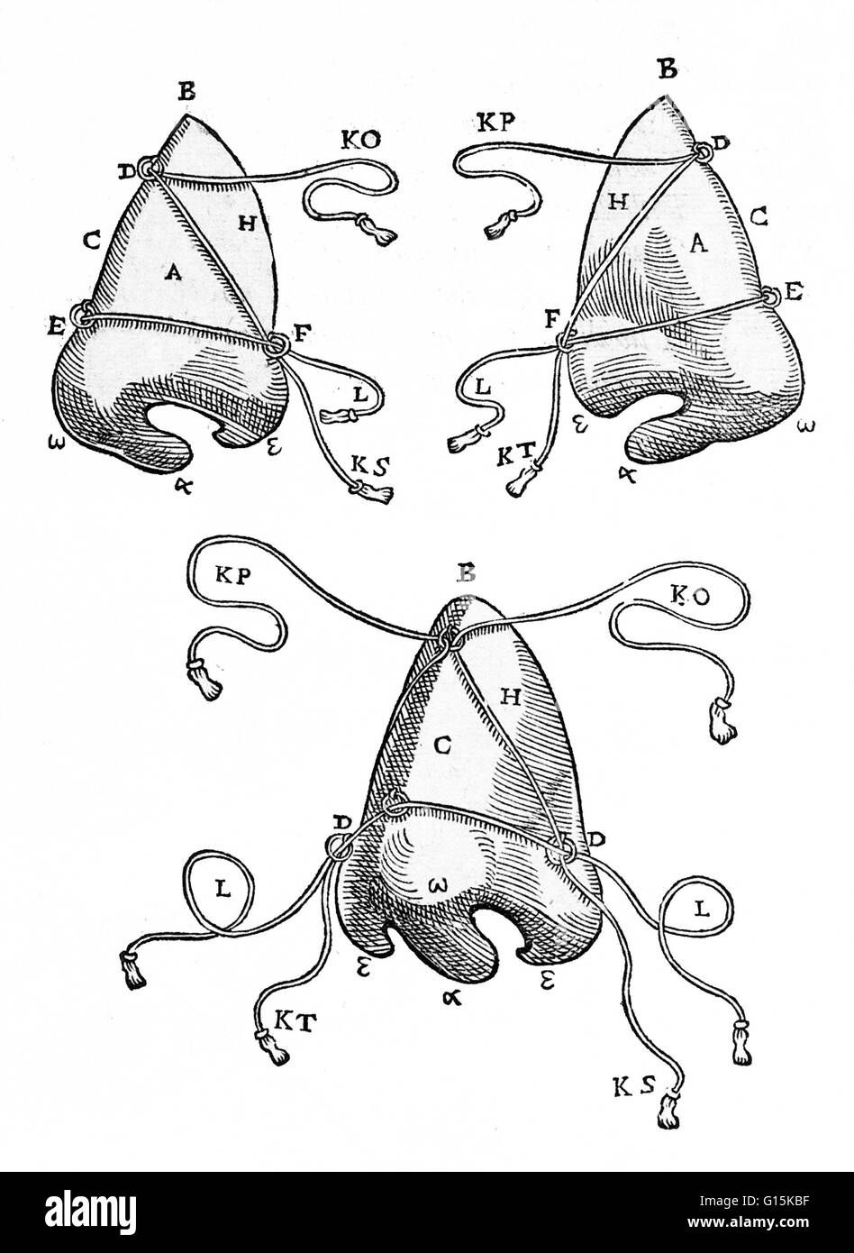 Nose reconstruction hi-res stock photography and images - Alamy