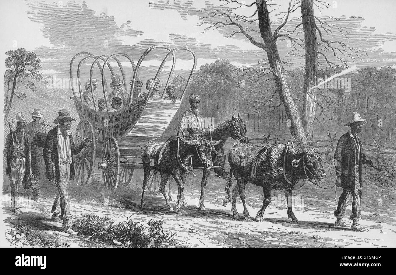 Contrabands Coming Into Federal Camp, 19th Century. Illustration ...