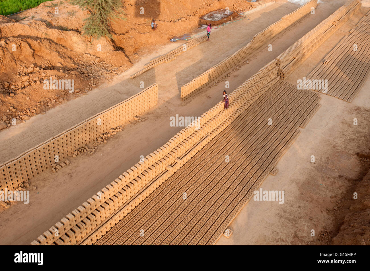 Hand made bricks laid out on the ground to dry before baking, northeast ...