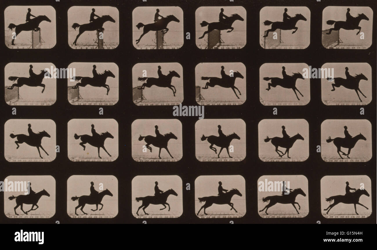 Eadweard Muybridge Animal Locomotion High Resolution Stock Photography ...