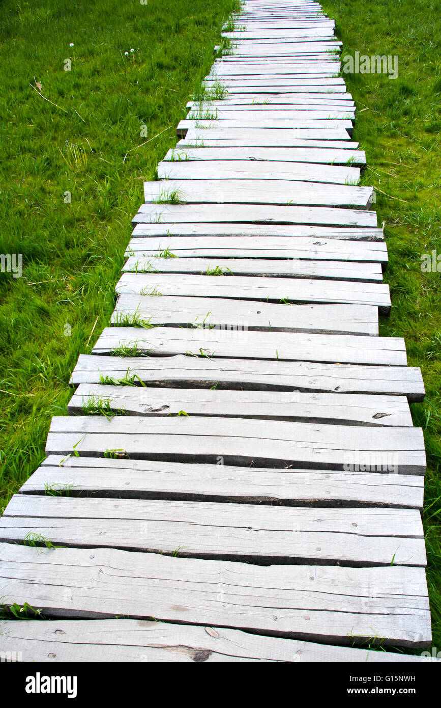 Walkway with wooden bridge through meadow and swamp Stock Photo - Alamy