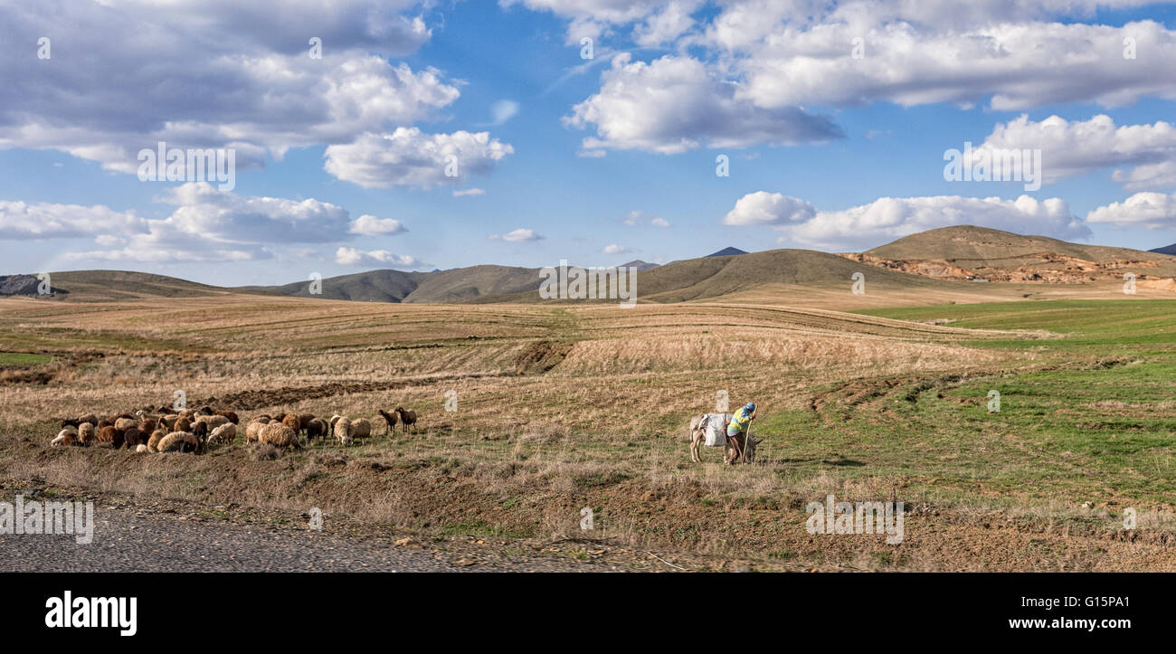 Iranian rural shepherd iran hi-res stock photography and images - Alamy