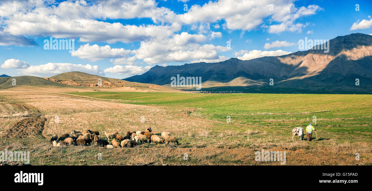 Iranian rural shepherd iran hi-res stock photography and images - Alamy