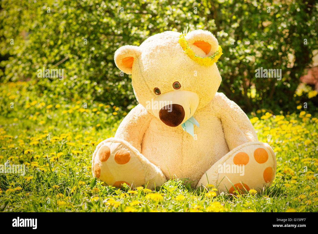 Big teddy bears hi-res stock photography and images - Alamy