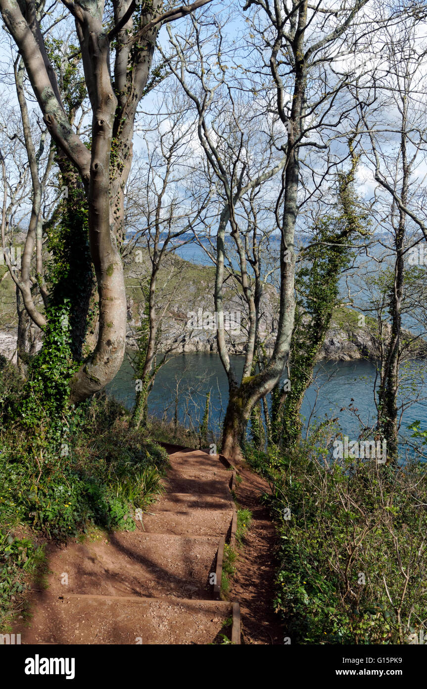 South west coastal path churston cove devon brixham england hi-res ...