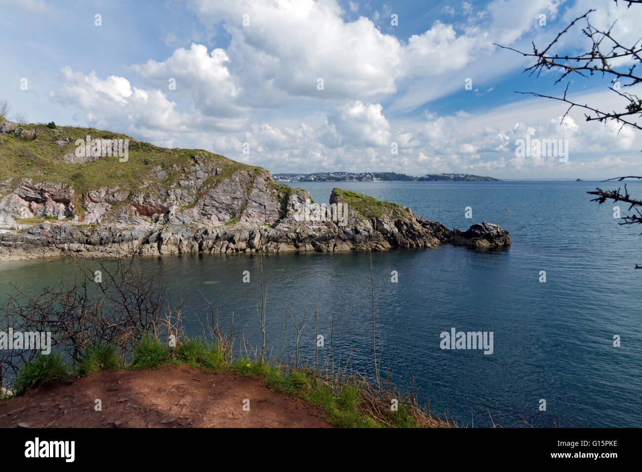 South west coastal path churston cove devon brixham england hi-res ...