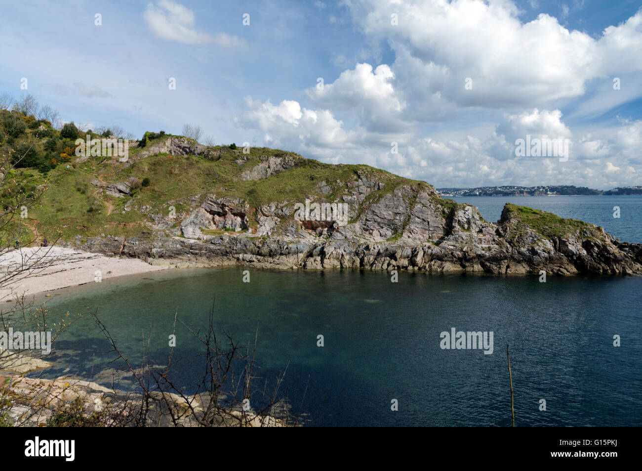 South west coastal path churston cove devon brixham england hi-res ...