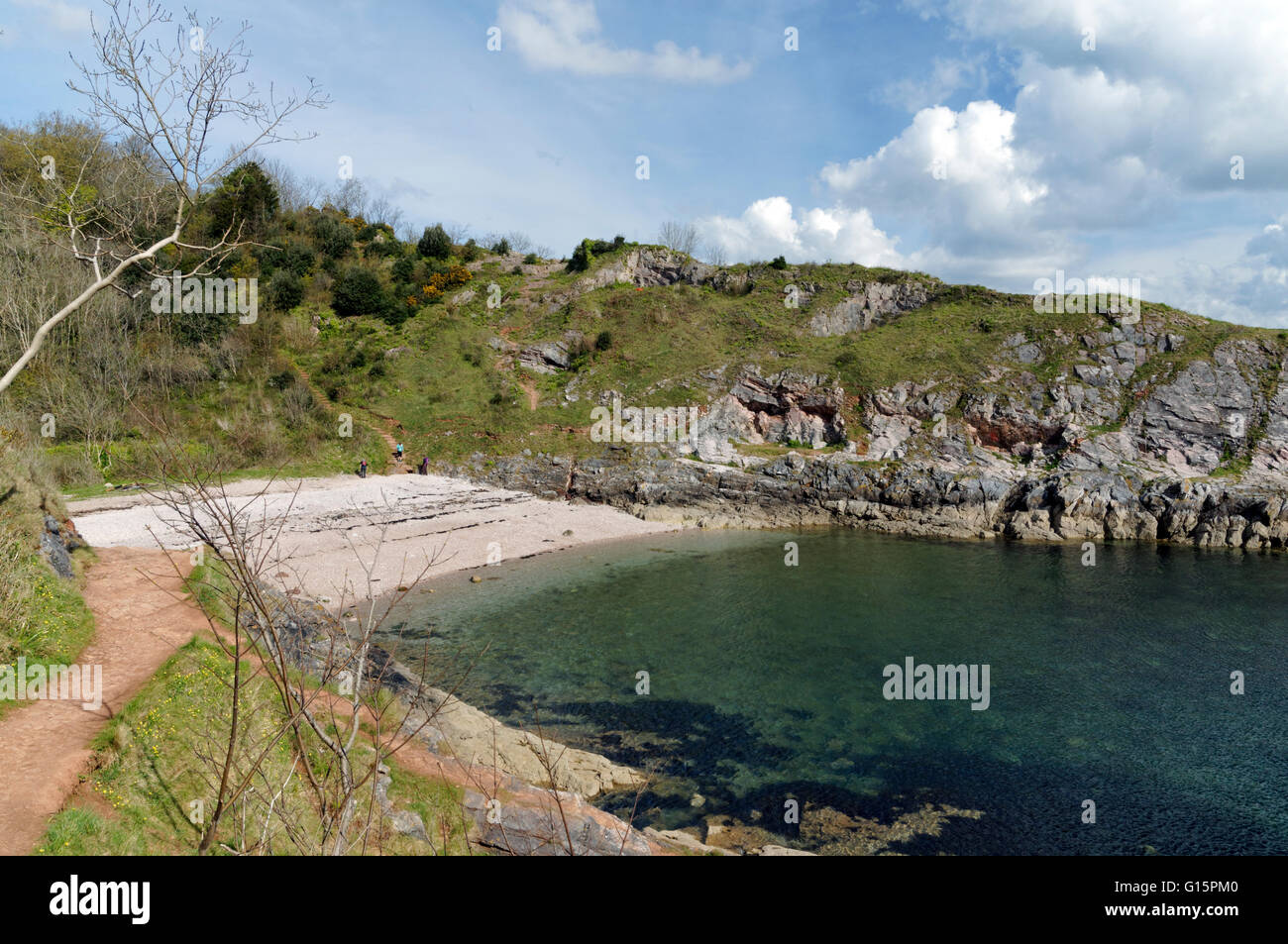 Churston Cove on the South West Coastal Path, Brixham, Devon, England ...