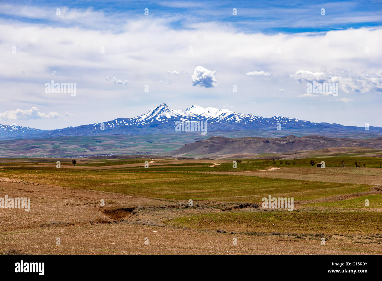 Hamadan hi-res stock photography and images - Alamy