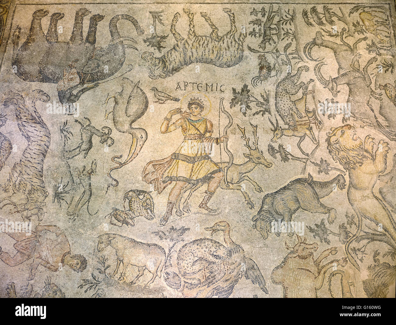 Hatay, Turkey - June 24, 2015 : Mosaic exhibits in New Hatay Archeology ...