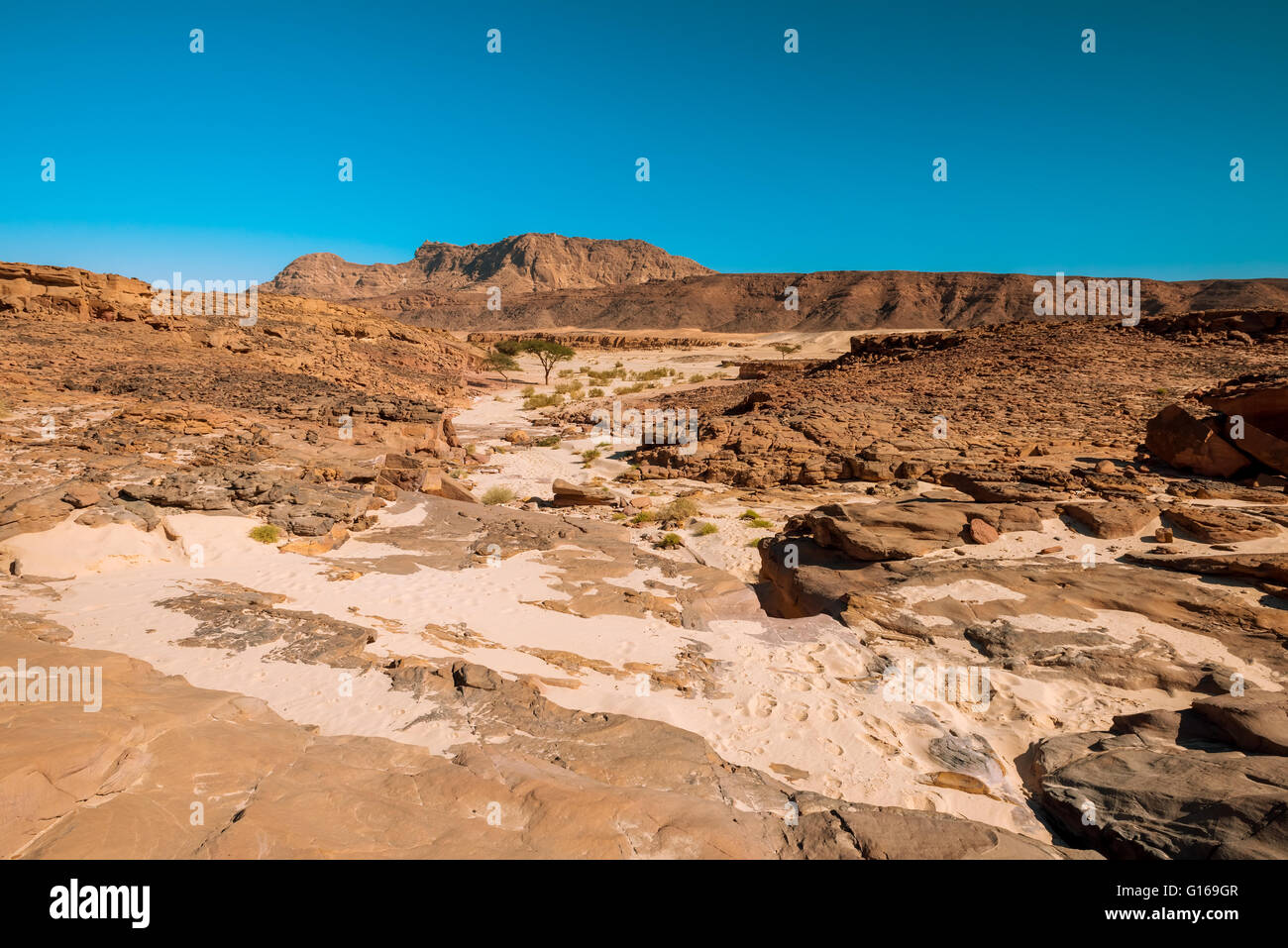 Sinai desert landscape Stock Photo - Alamy