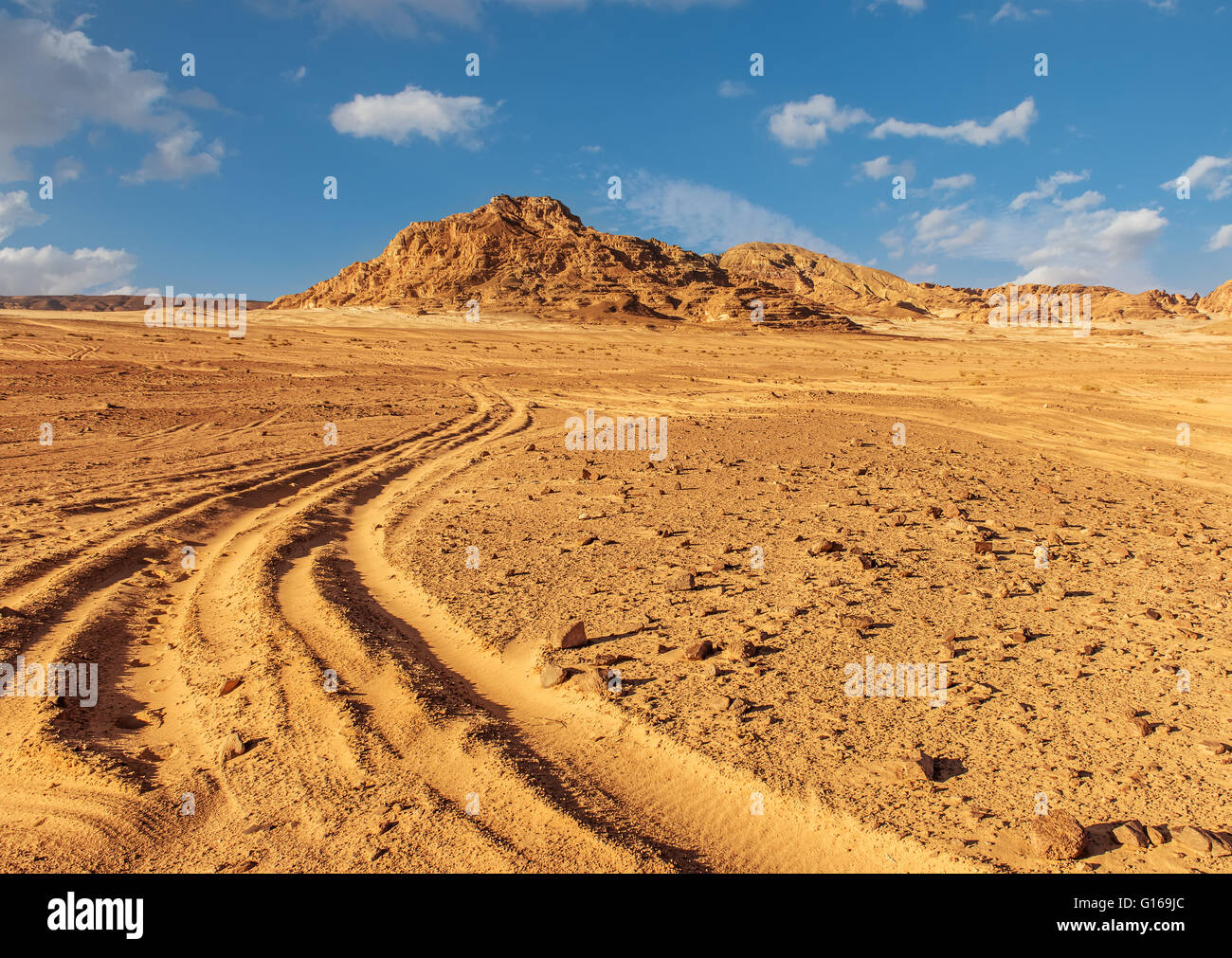 Sinai desert landscape Stock Photo - Alamy