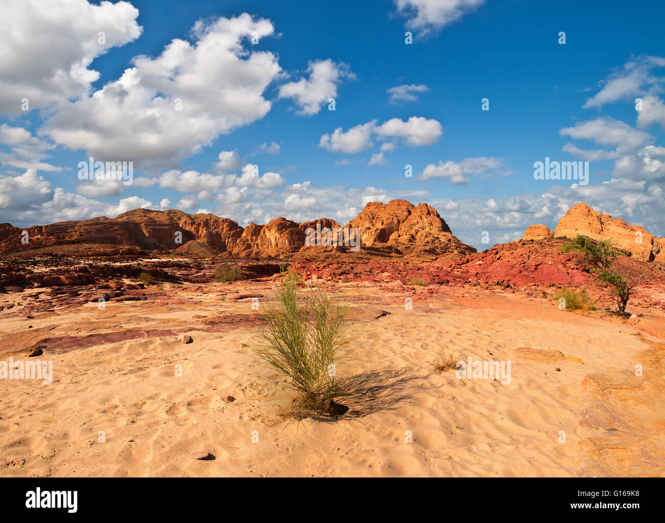 Sinai desert landscape Stock Photo - Alamy