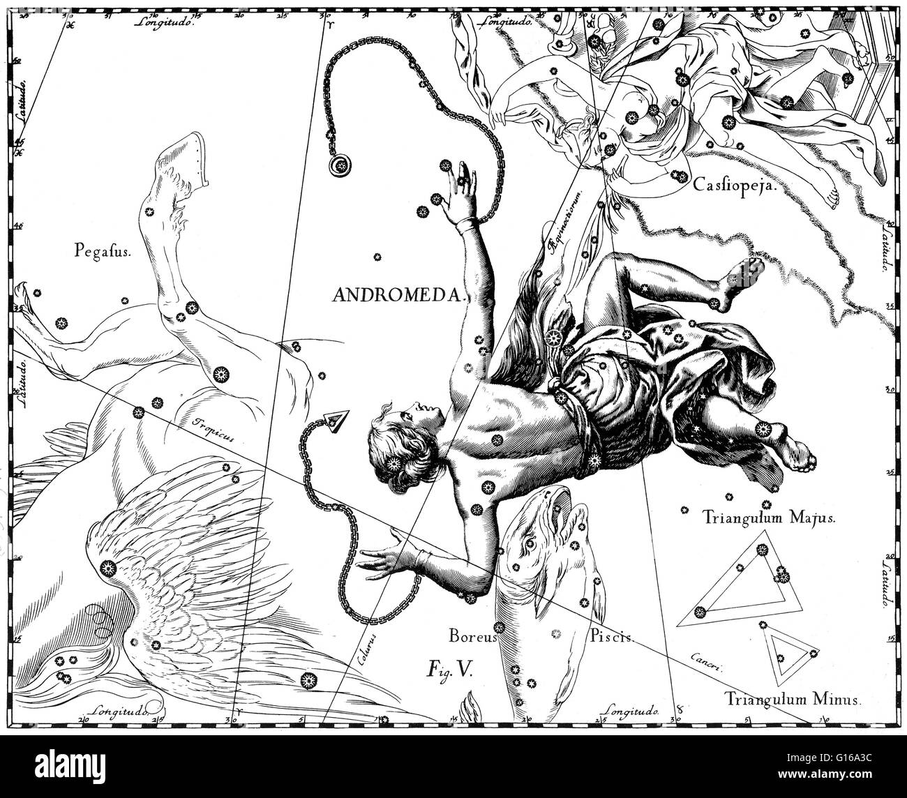 Andromeda Constellation Drawing