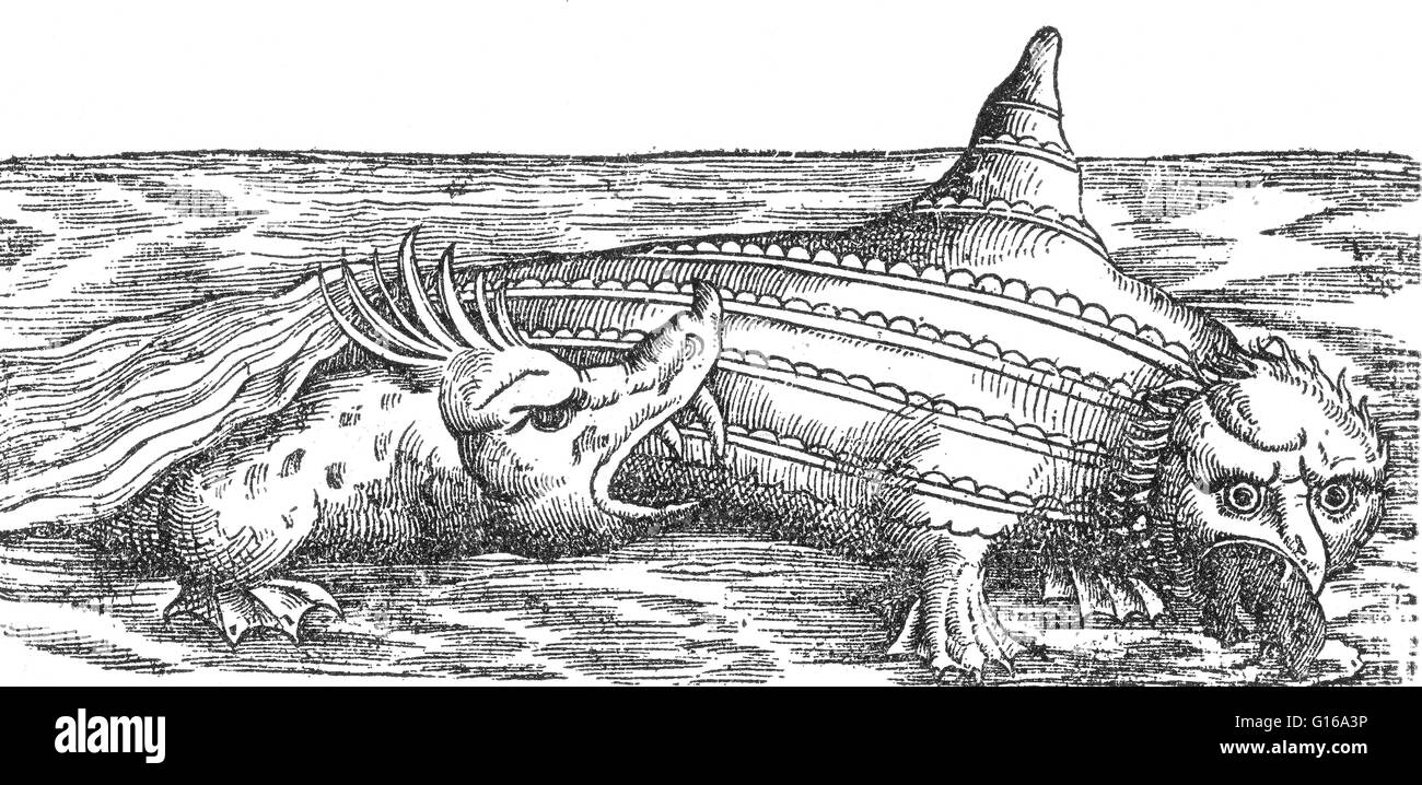 Like a cross Black and White Stock Photos & Images - Alamy