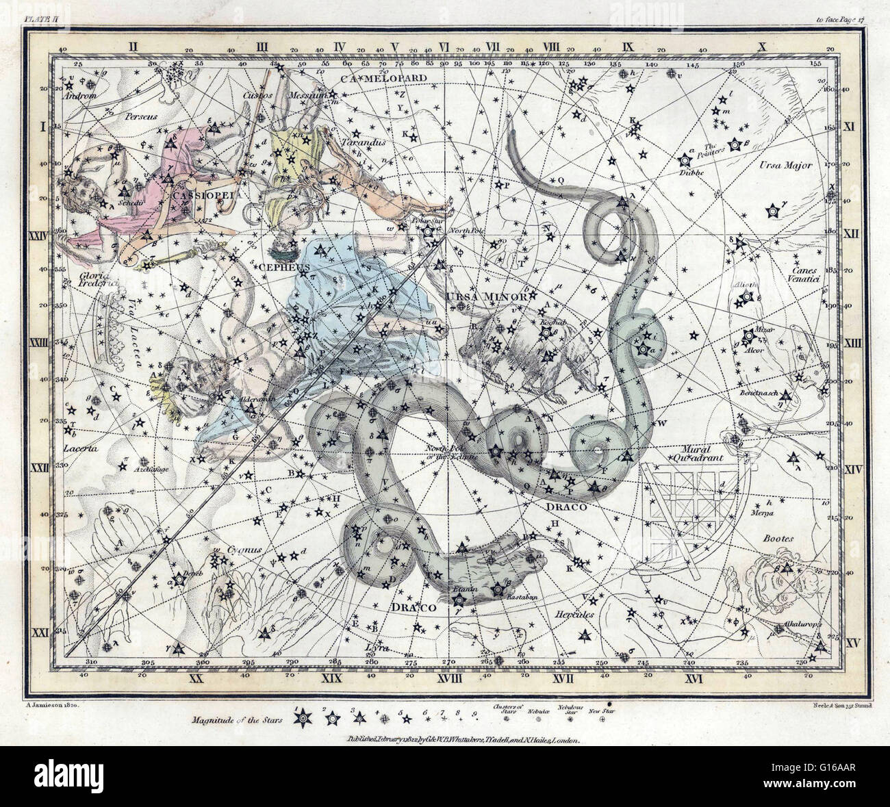 Draco constellation, its name is Latin for dragon. Draco is circumpolar ...