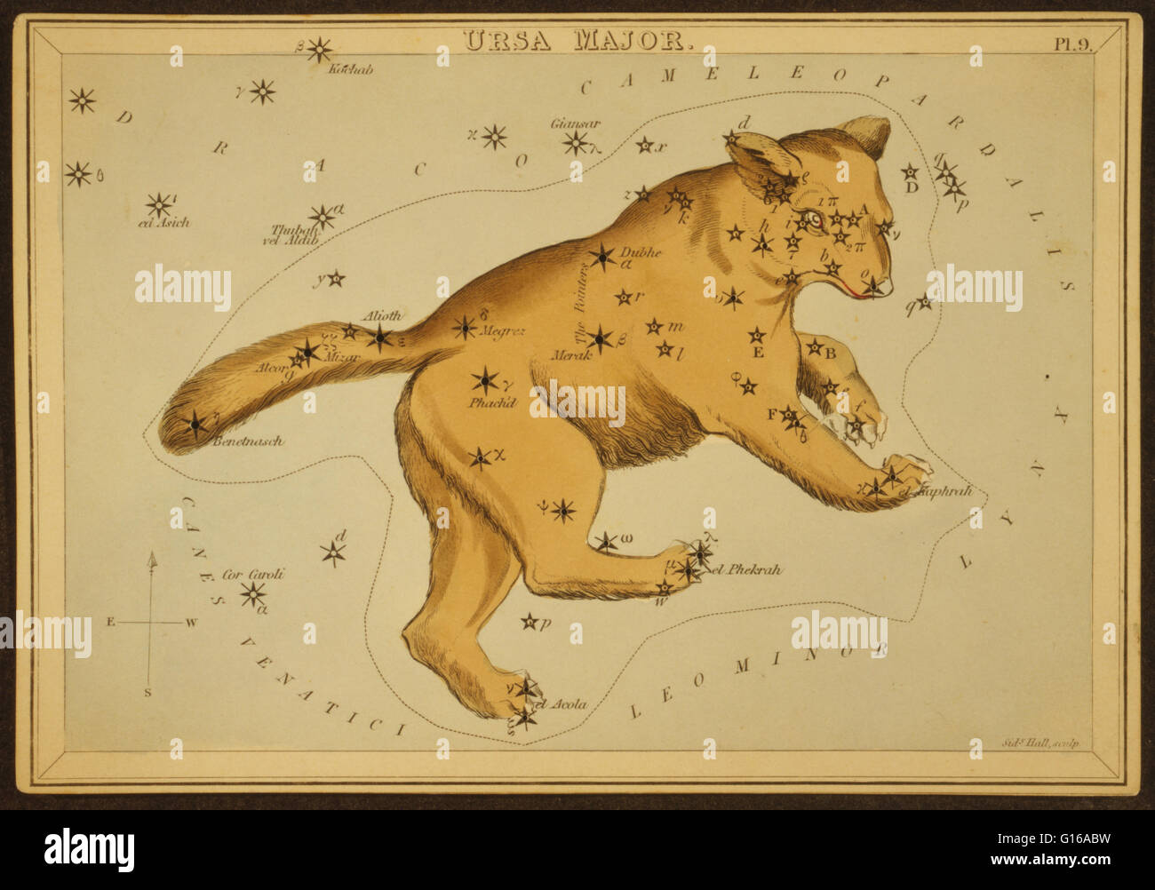 Astronomical chart showing a bear forming the constellation. Ursa Major ...