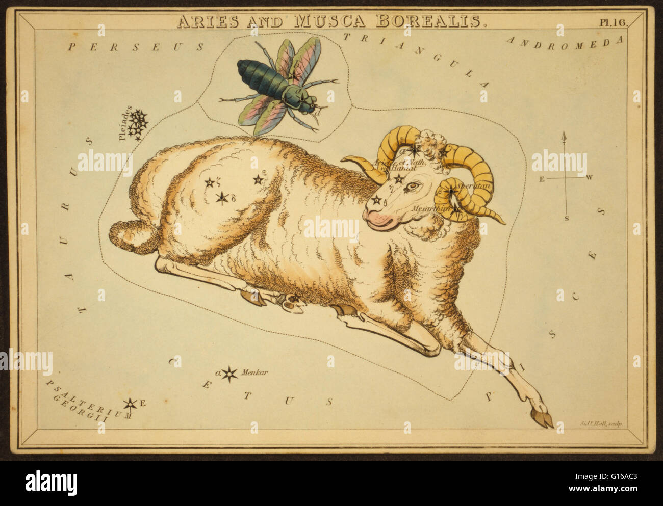 Northern hemisphere constellations hi-res stock photography and images ...