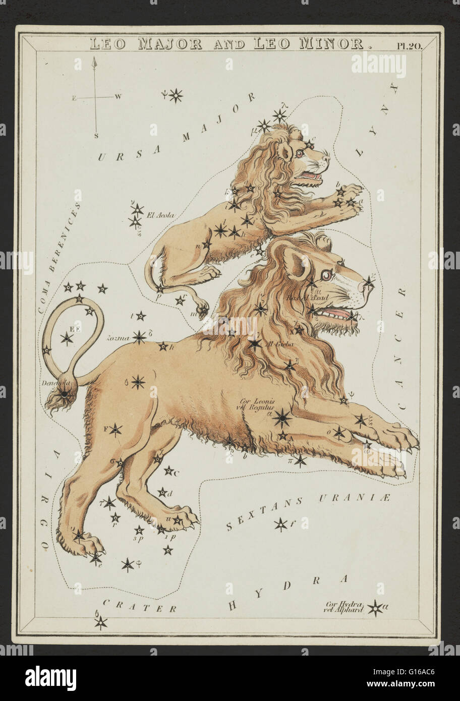 Astronomical chart showing two lions forming the constellation. Leo is ...