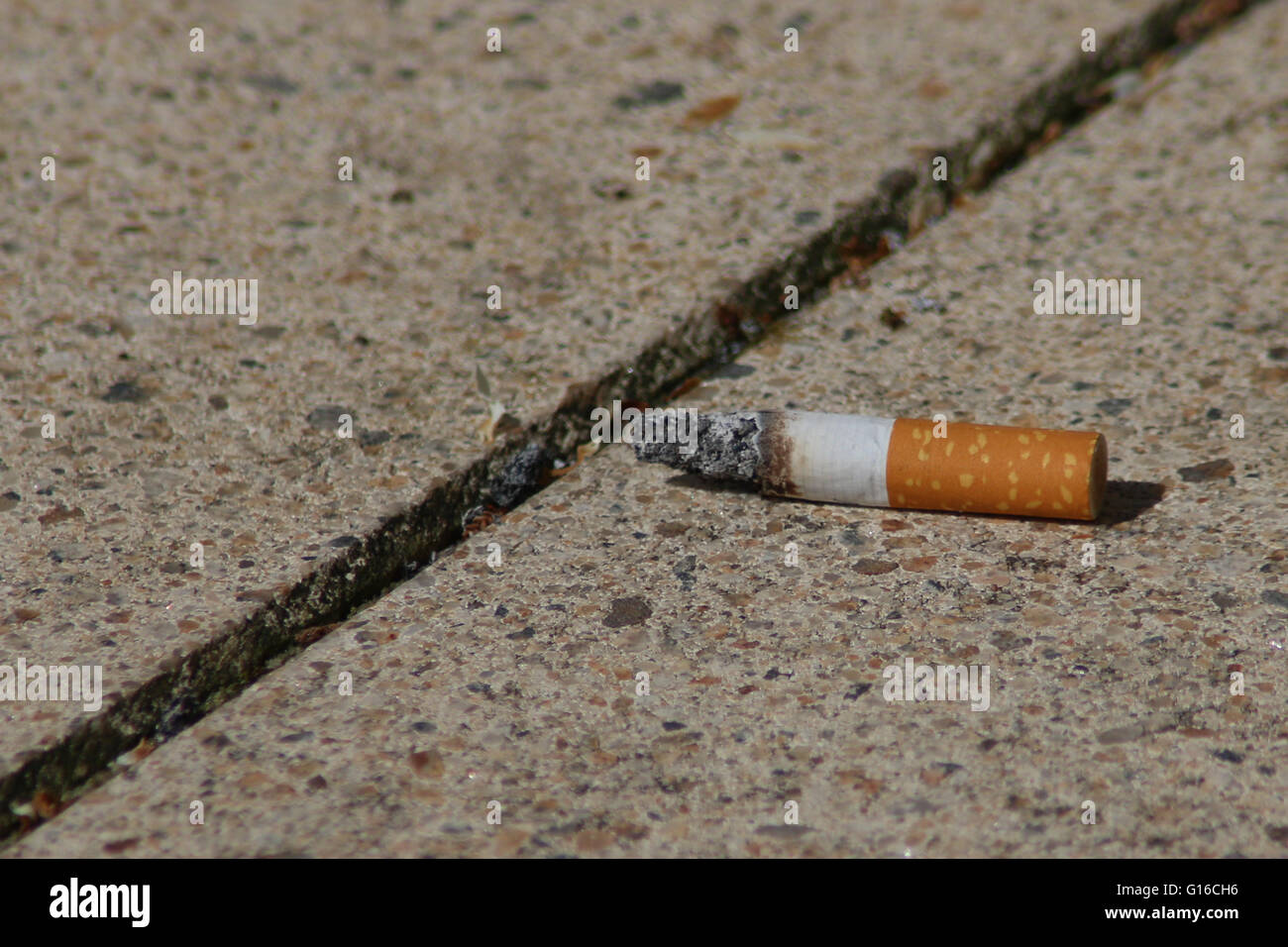 Cigarette but on grey stone pavement Stock Photo - Alamy