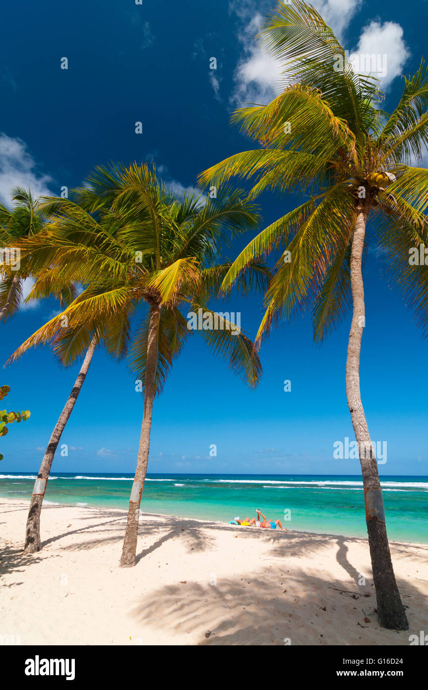 Ile de Guadeloupe, Anse-Bertrand, plage // France, Guadeloupe Island ...