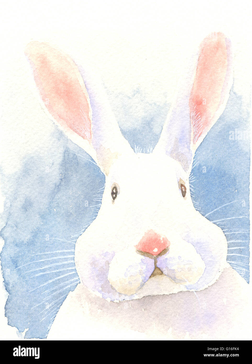 watercolor illustration of a puzzled bunny rabbit Stock Photo - Alamy