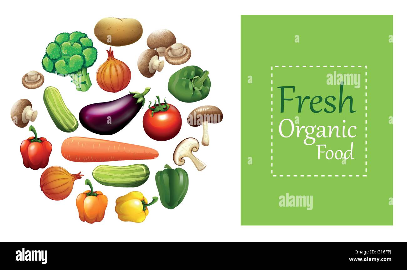 Mixed onion Stock Vector Images - Alamy