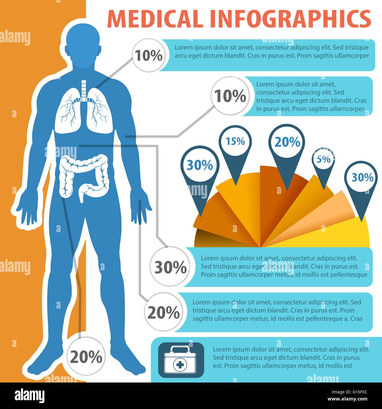 Medical infographic with human anatomy illustration Stock Vector Image ...