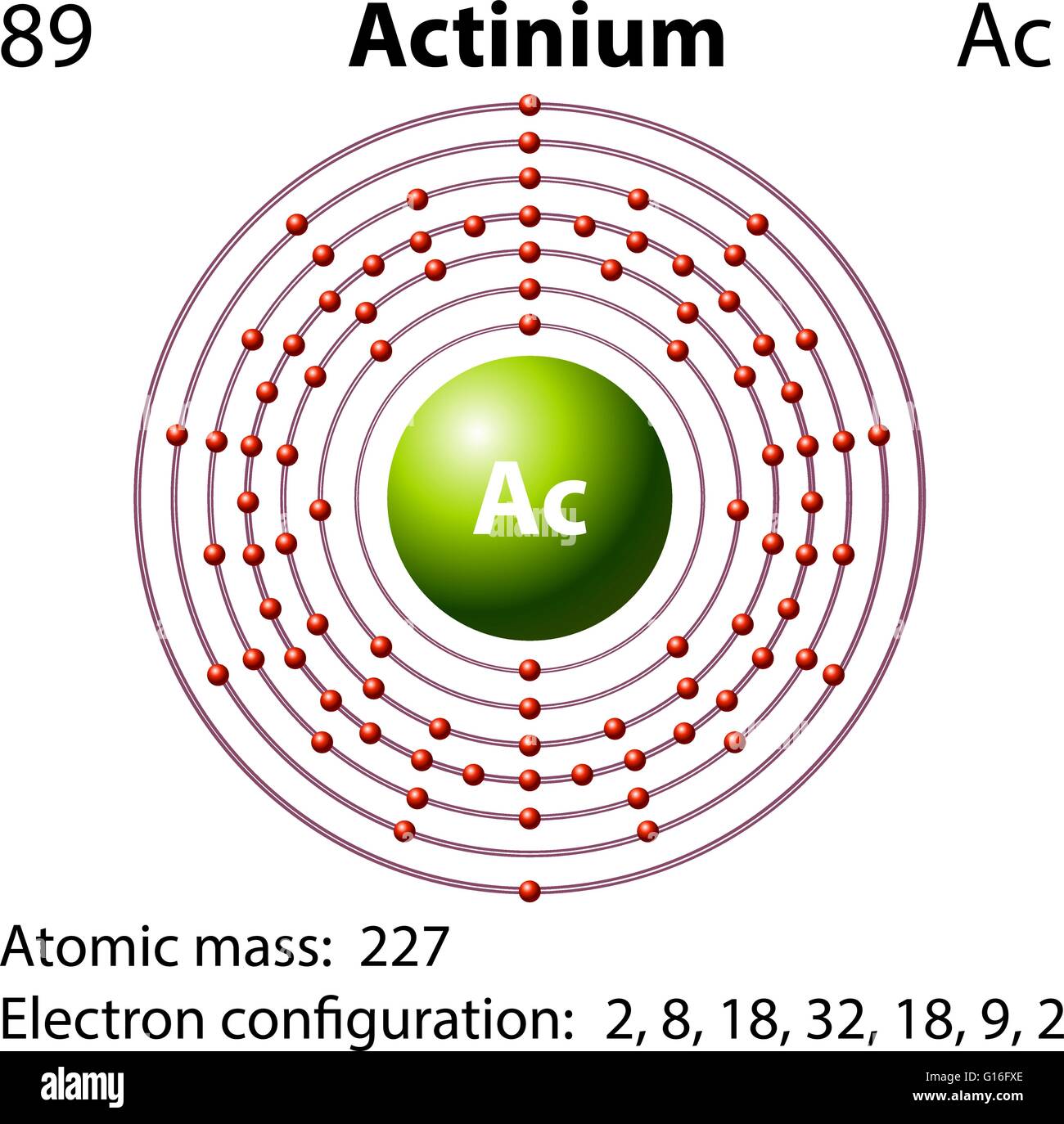 Diagram representation of the element actinium illustration Stock ...