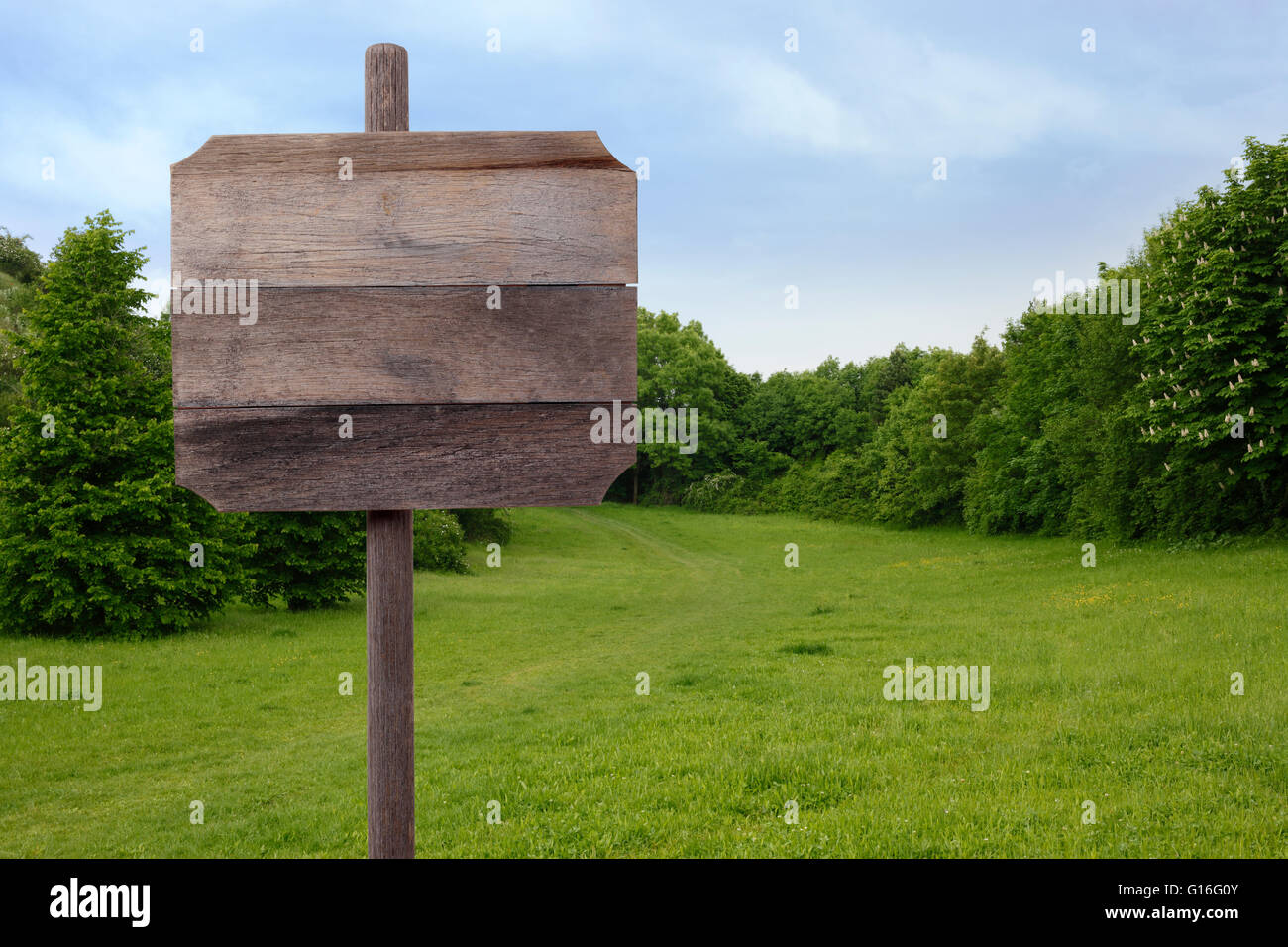 Blank field hi-res stock photography and images - Alamy