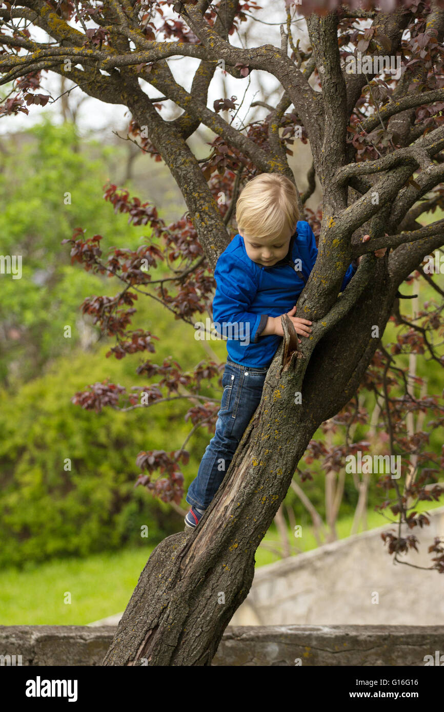 Young boy hugging a tree branch, spring time Stock Photo - Alamy