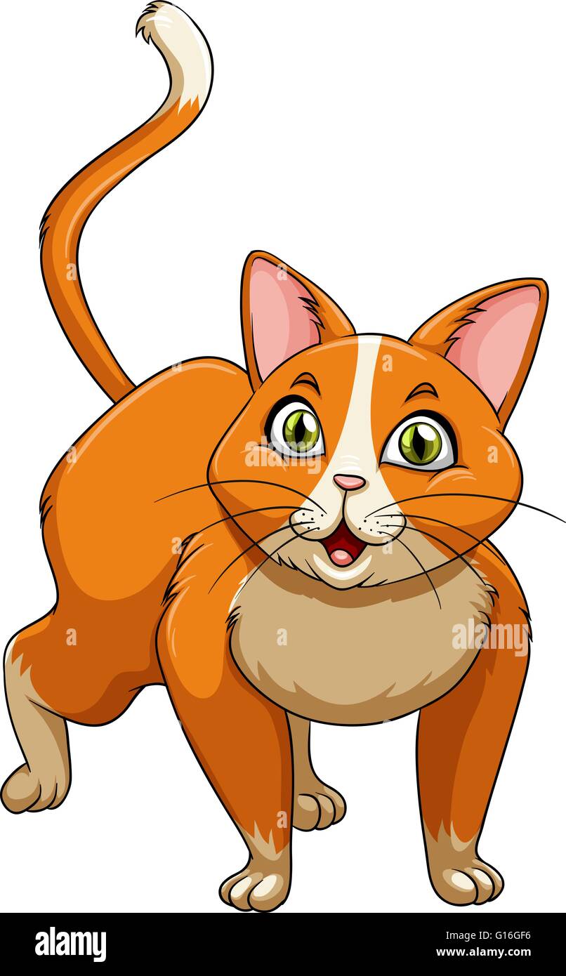 Ginger white fluffy kitten Stock Vector Images - Alamy