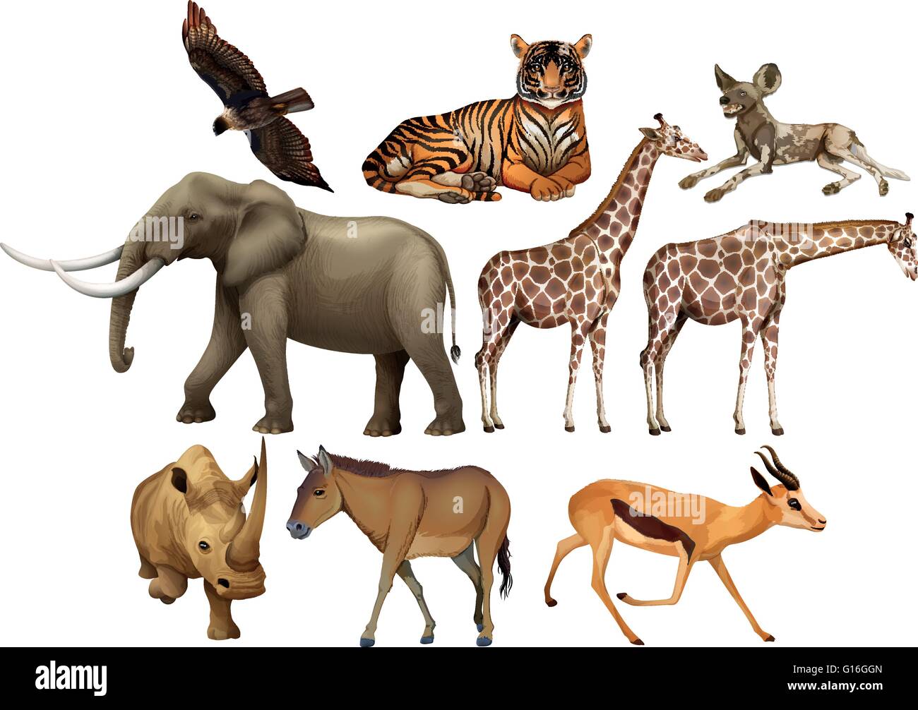 Various kind of wild animals illustration Stock Vector Image & Art - Alamy