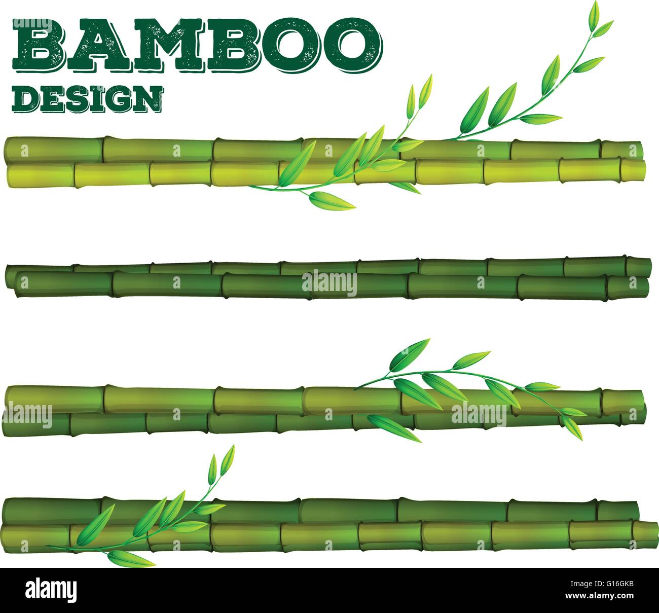Different bamboo design with stem and leaves illustration Stock Vector ...