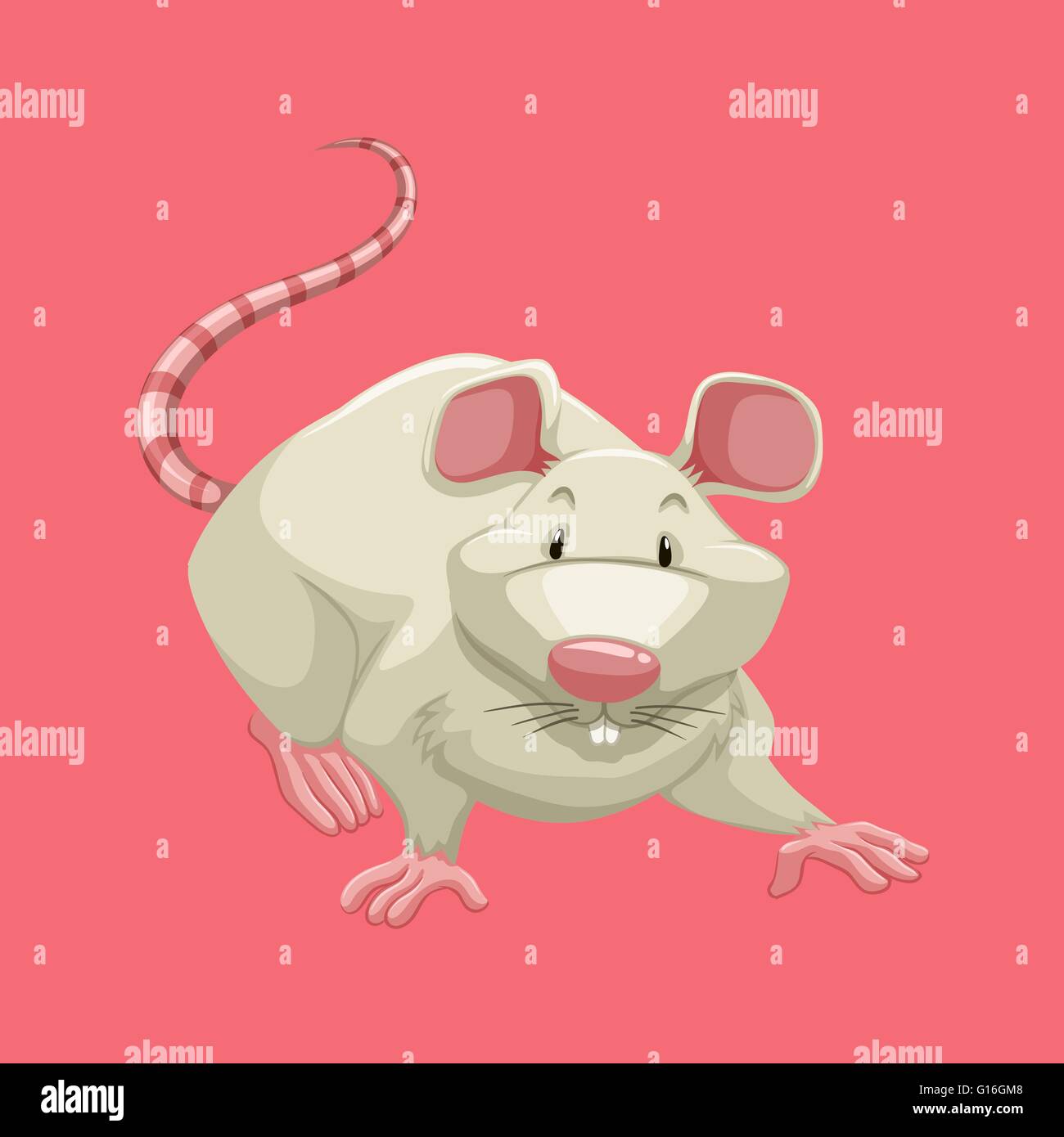 White lab rat Stock Vector Images - Alamy