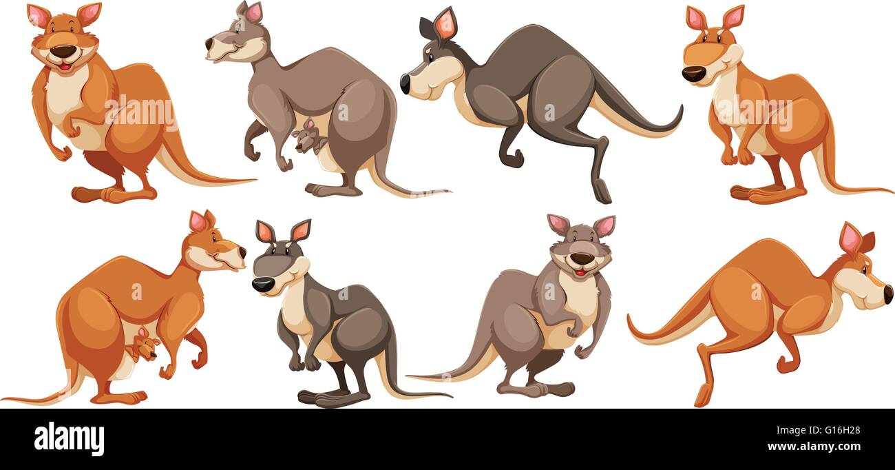 Baby Joey Kangaroo Cartoon