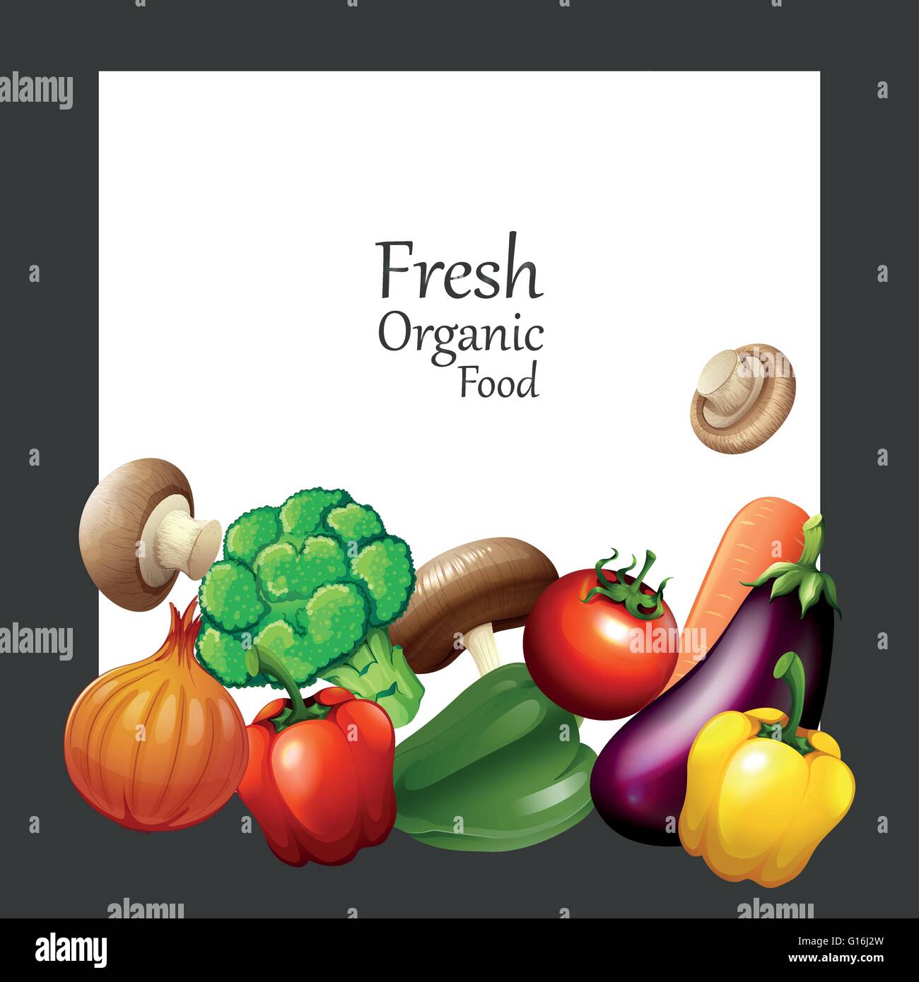 Fresh vegetables and banner illustration Stock Vector Image & Art - Alamy