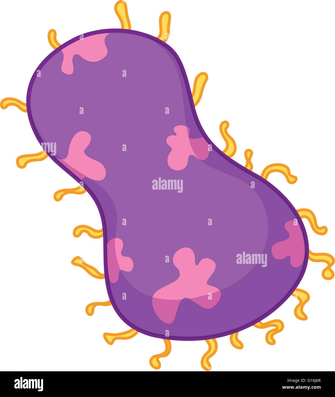 Bacteria on Stock Vector Images - Alamy
