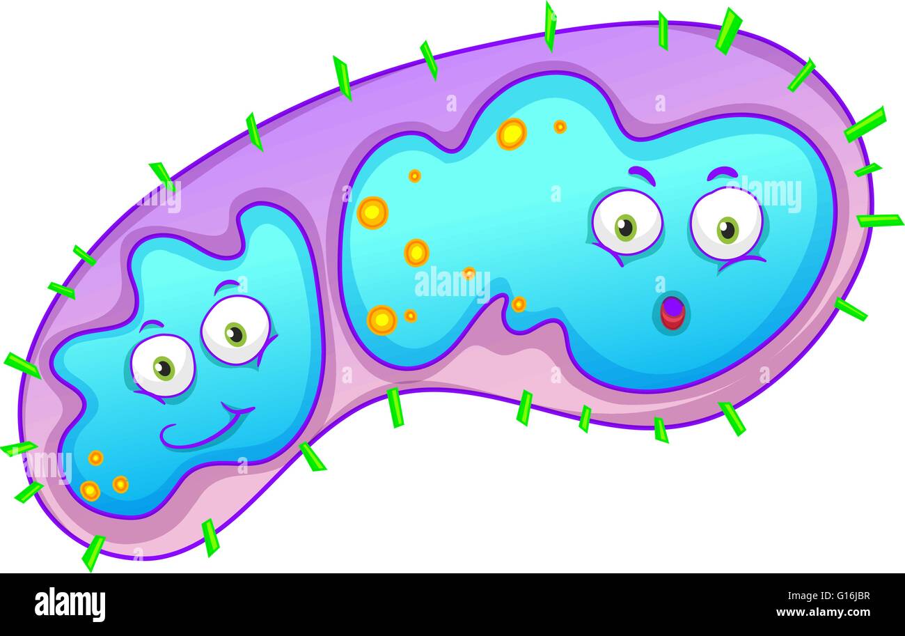 Bacteria with happy face illustration Stock Vector Image & Art - Alamy