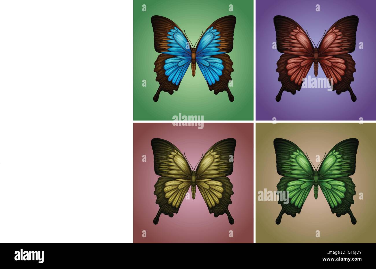 Butterfly in yellow colors Stock Vector Images - Alamy