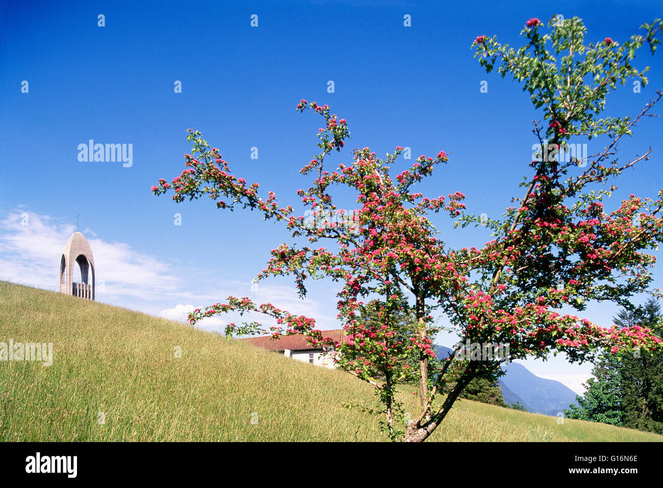 Mission, BC, British Columbia, Canada - Bell Tower of Westminster Abbey ...