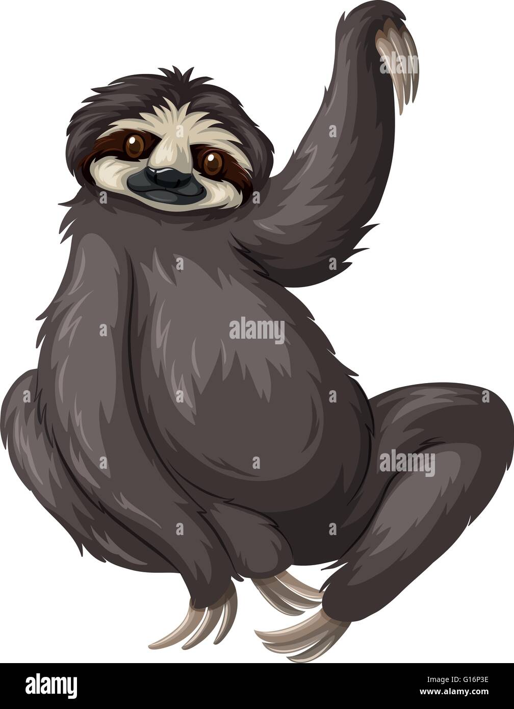 Sloth with black fur illustration Stock Vector Image & Art - Alamy