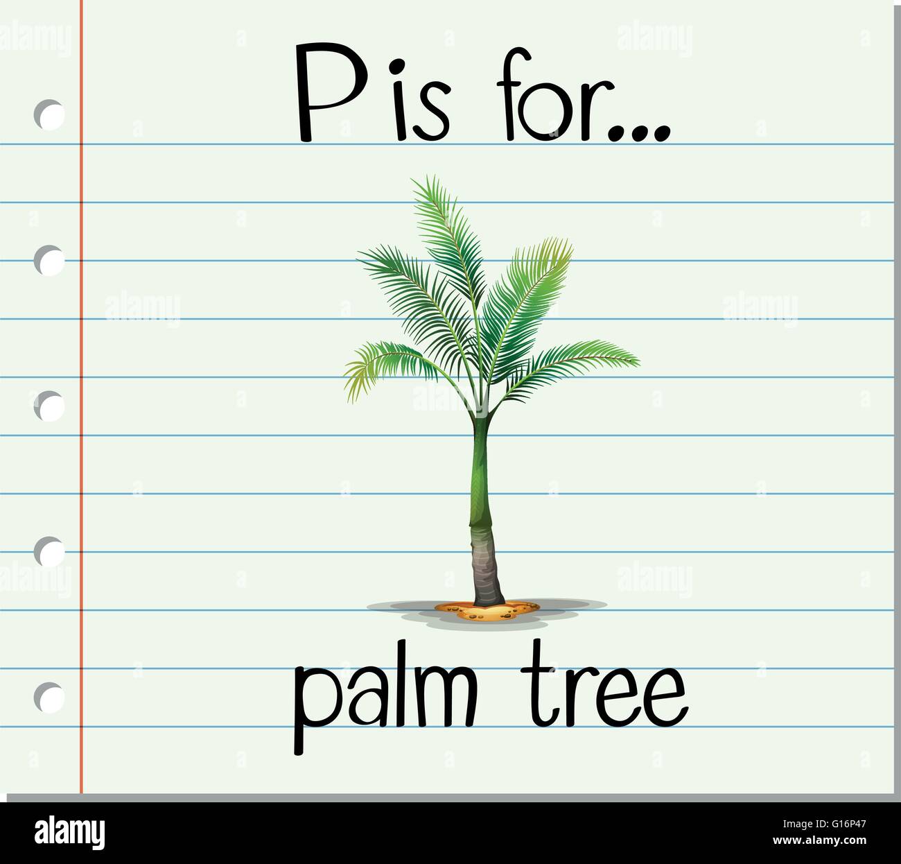 Flashcard letter P is for palm tree illustration Stock Vector Image ...
